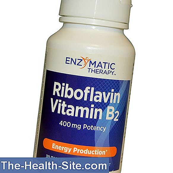 Riboflavina: Significado, Requisito Diario, Deficiencia 💊 Científico ...