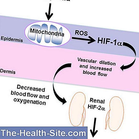 Hypoxia: Causes, Signs, Therapy 💊 Scientific-Practical Medical Journal ... Hypoxia: Causes, Signs, Therapy 💊 Scientific-Practical Medical Journal ...