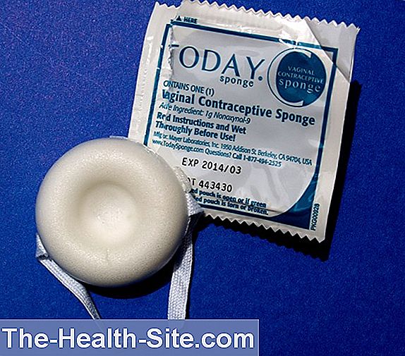 Esponja Anticonceptiva: ¿Qué Tan Seguro Es? 💊 Científico-Práctico ...