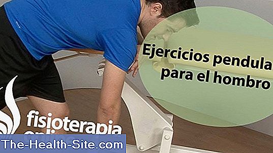 Contusión De Hombro: Causa, Síntomas, Terapia 💊 Científico-Práctico ...