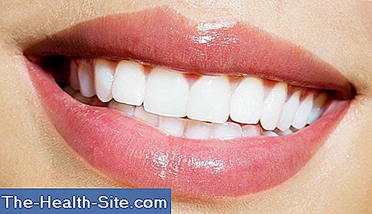 Dents: Fonction, Anatomie Et Maladies 💊 Scientifique Et Pratique ...