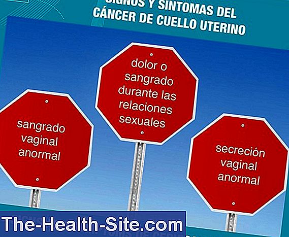 Sintomas Do Câncer Cervical: Detectando Sinais De Advertência 💊 ...