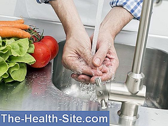 Listeriosis Symptoms Cause And Treatment 💊 Scientific Practical