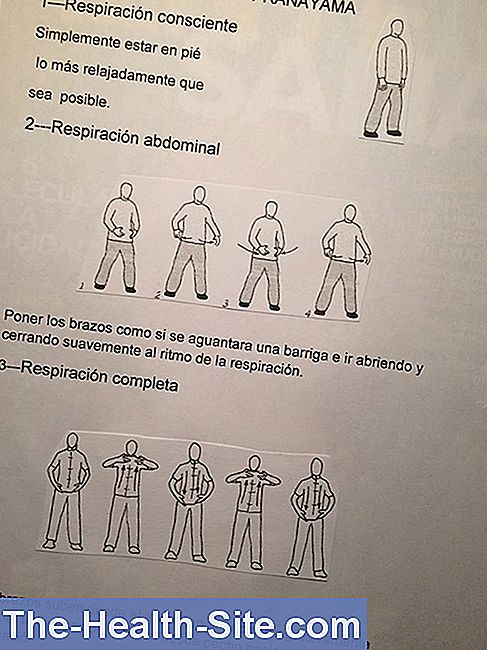 Prepucio (Prepucio): Anatomía Y Función 💊 Científico-Práctico Medical ...