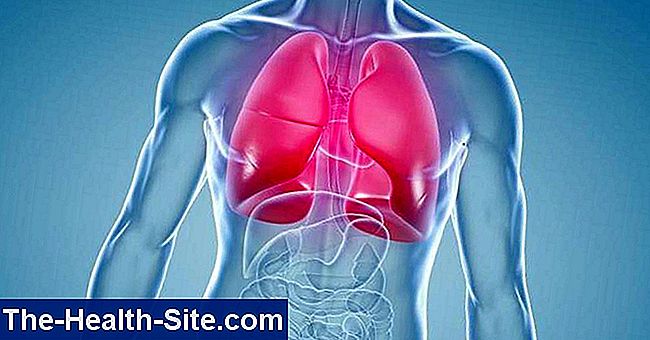 Función Pleural: Definición, Razones, Procedimiento Y Riesgos 💊 ...